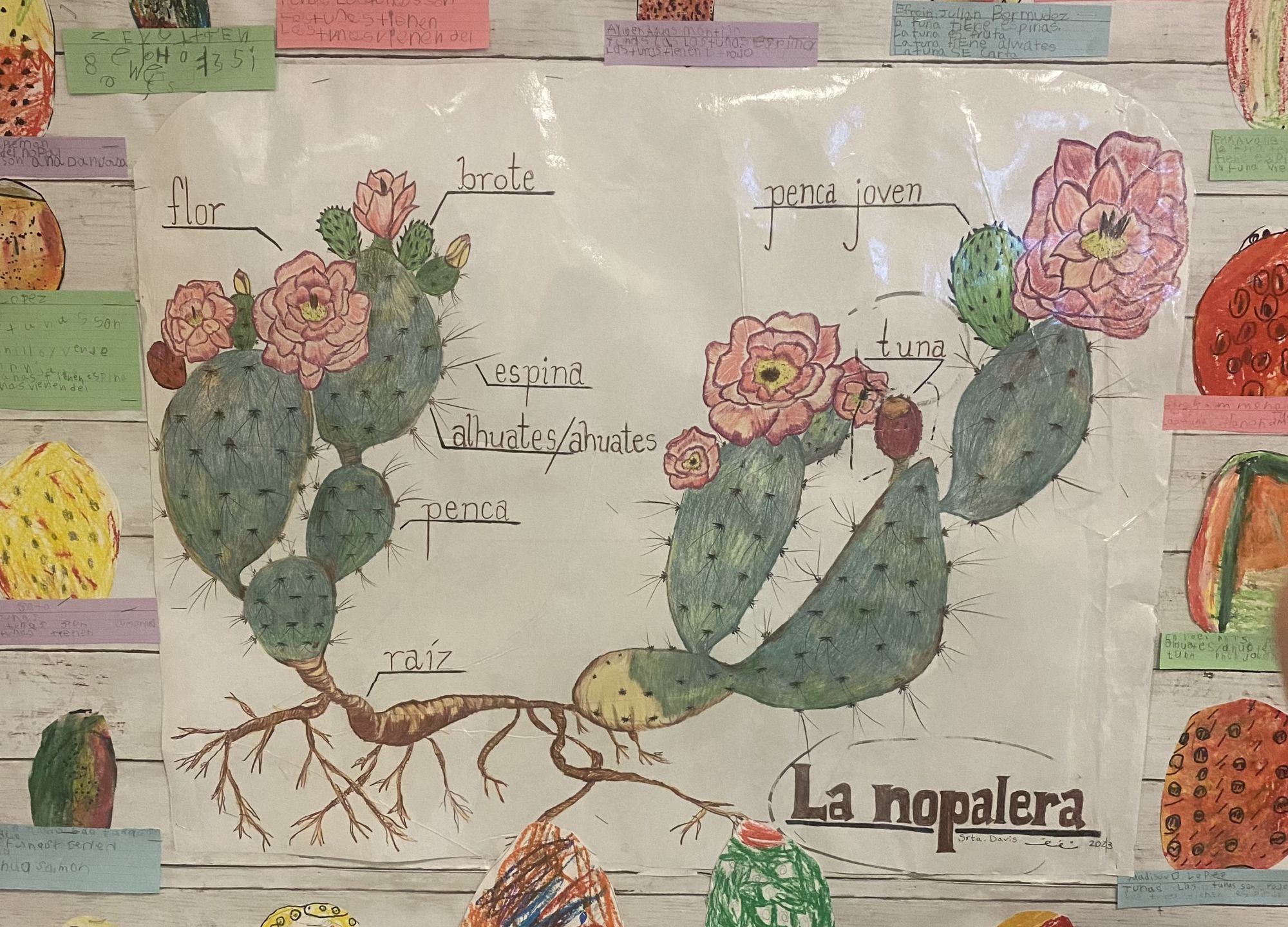 Awardees announced for 2024 HSI Faculty Seed Grant Program | Research and Partnerships